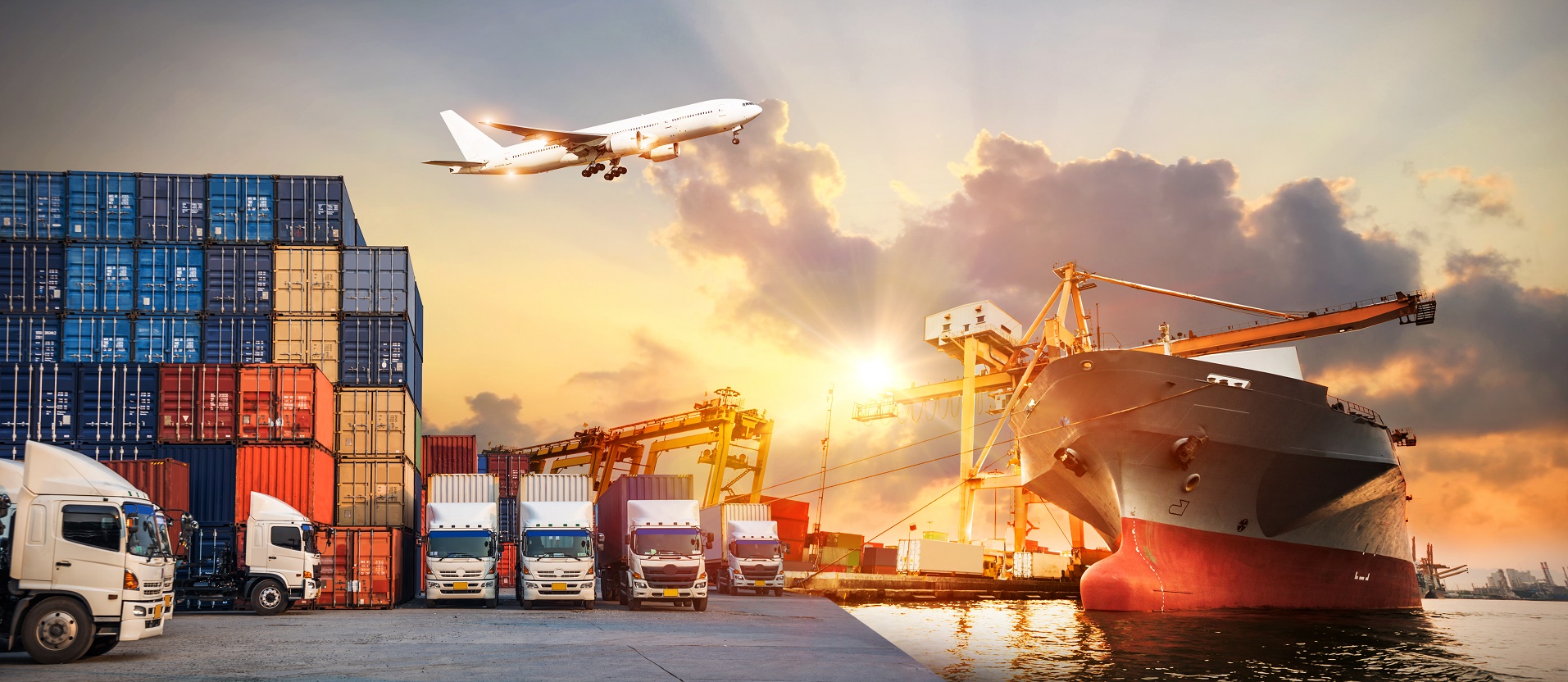 Importers & Distributors - Australian Automotive Aftermarket Association